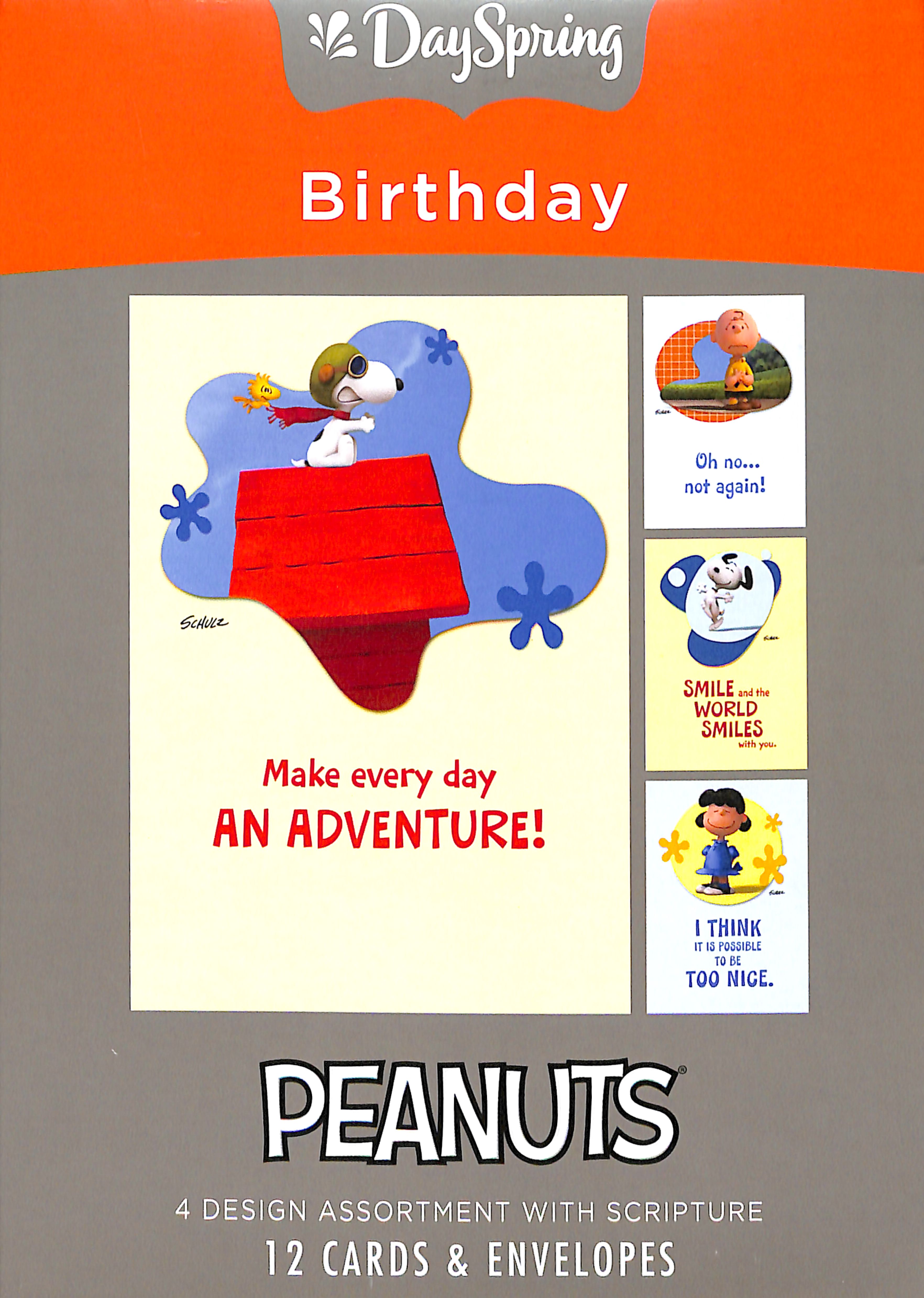 Boxed Cards Birthday: Peanuts Adventure, NLT Scripture Text | Koorong