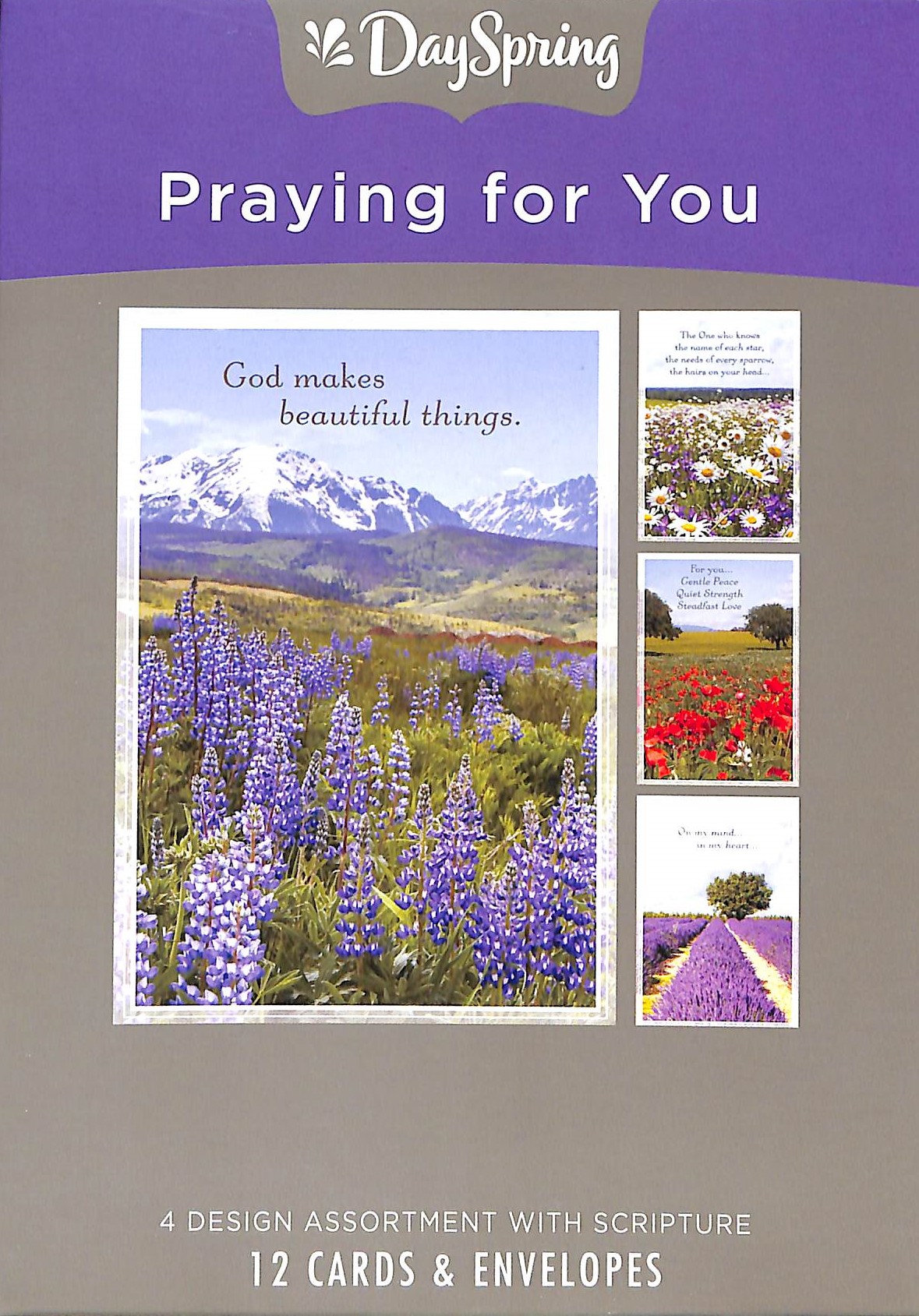 Boxed Cards Praying For You: Gentle Peace | Koorong