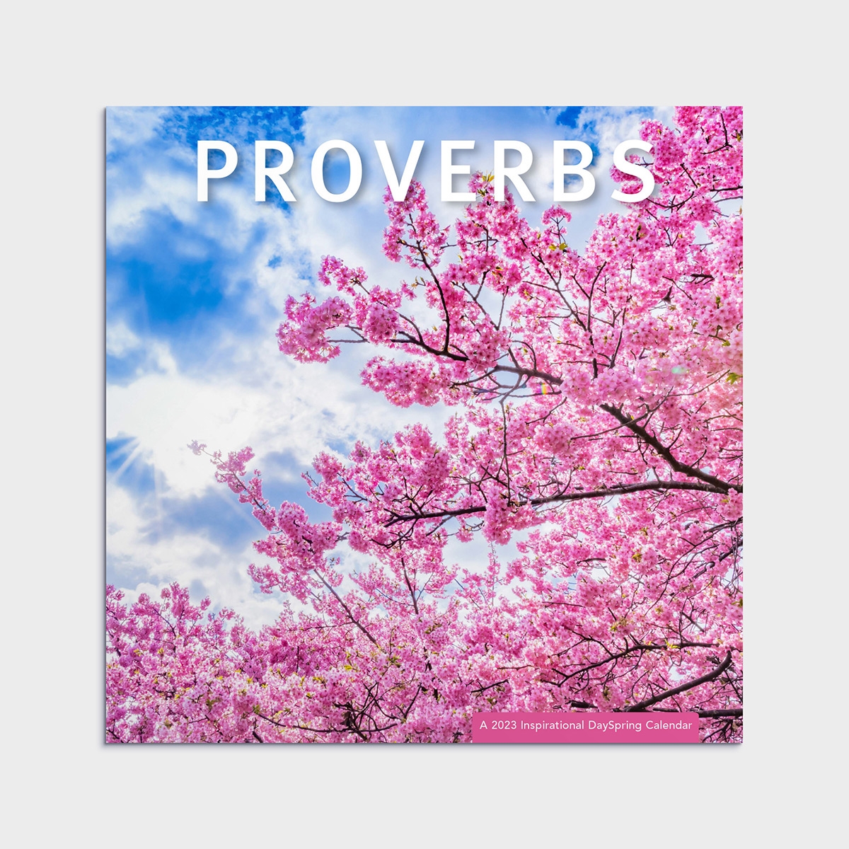 2023 Wall Calendar: Proverbs | Koorong