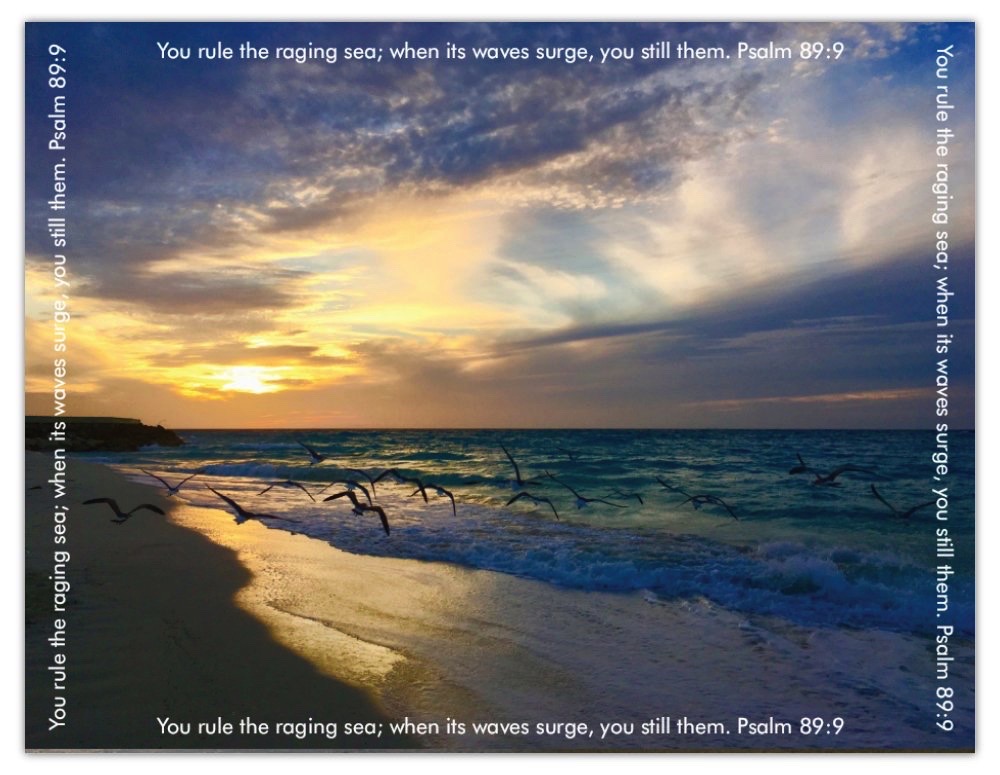 Magnetic Sheet: You Rule the Raging Sea (Ps 89:9) | Koorong