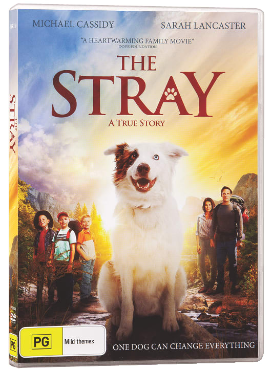 The Stray, DVD | Koorong