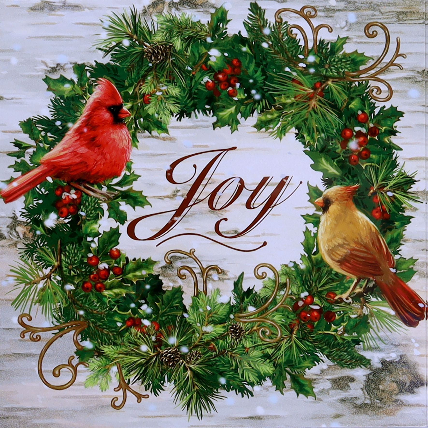 Christmas Boxed Cards: Joy, Birds | Koorong