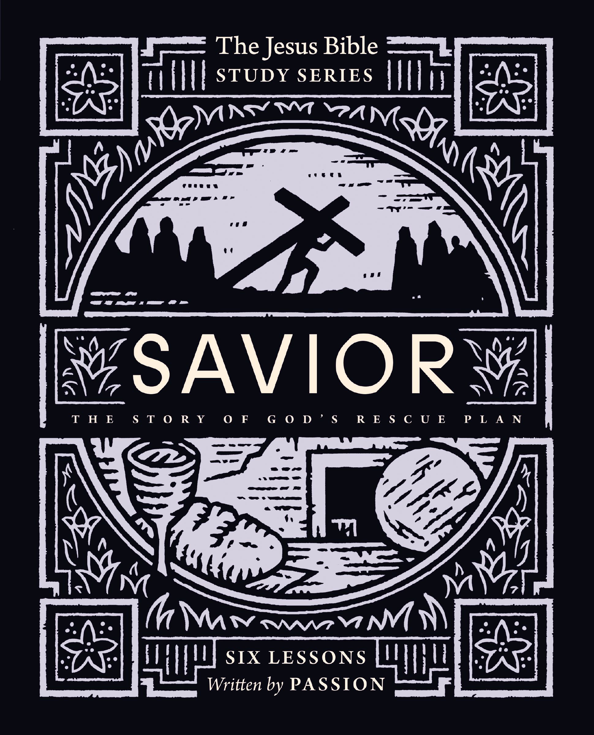 Jbs: Saviour: The Story of God's Plan (6 Lessons) (Bible Study Guide ...