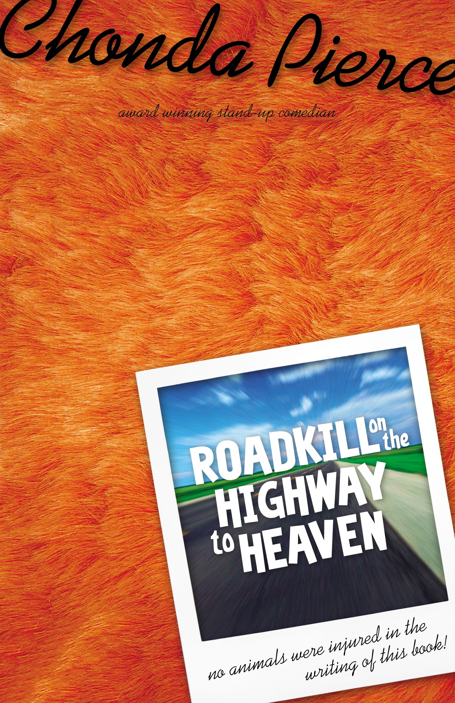 Roadkill on the Highway to Heaven | Koorong