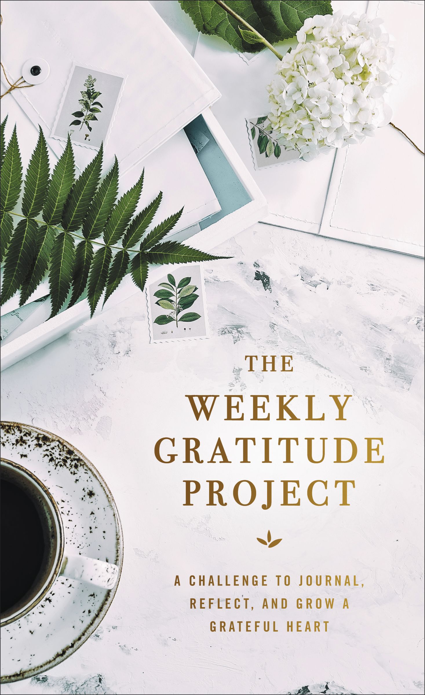 The Weekly Gratitude Project: A Challenge to Journal, Reflect, and Grow ...