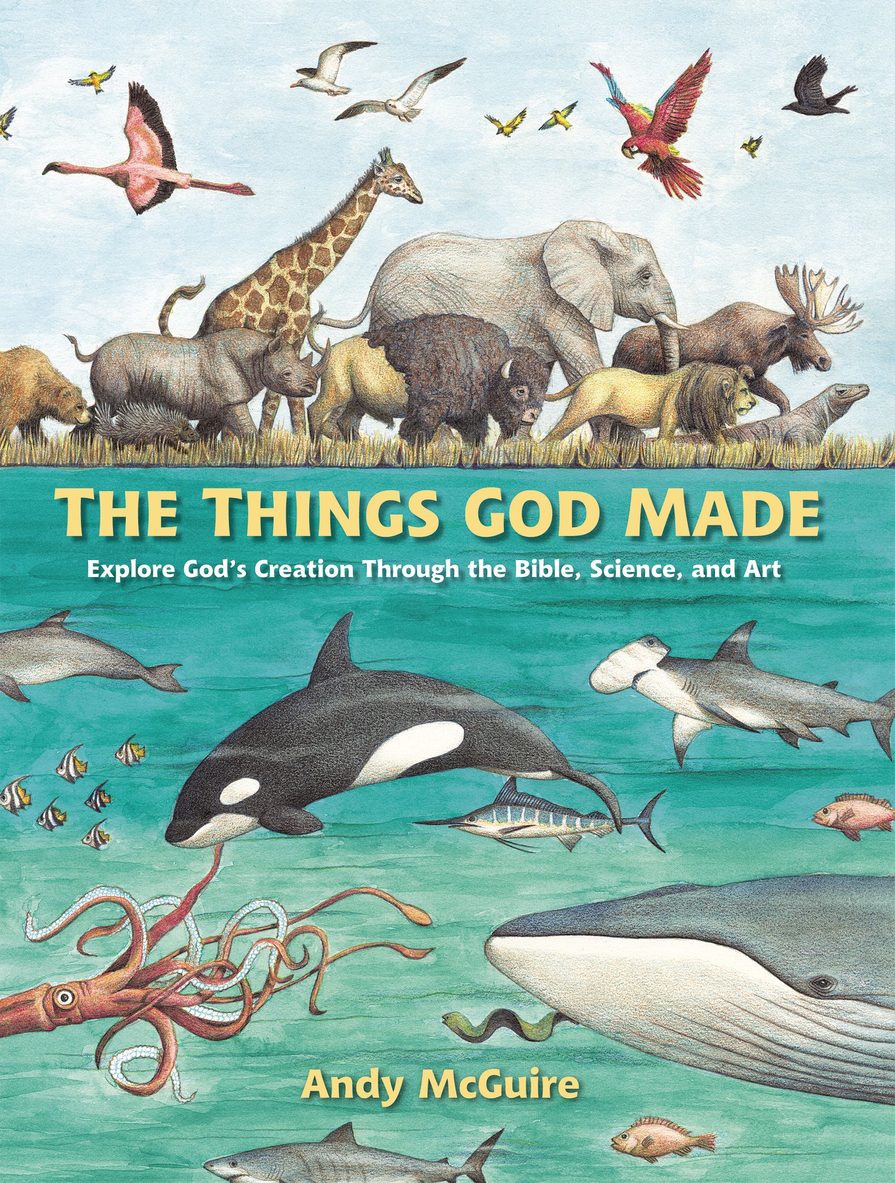 The Things God Made: Explore God's Creation Through the Bible, Science, and Art | Koorong
