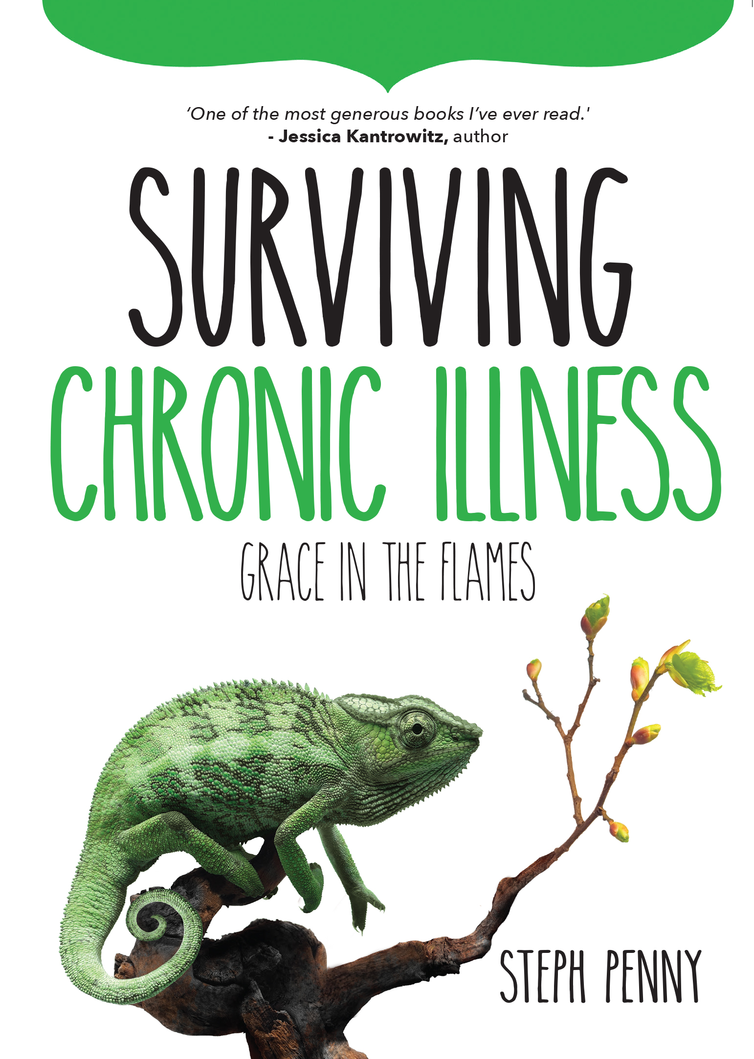 Surviving Chronic Illness: Grace in the Flames | Koorong