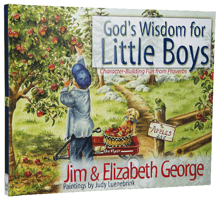 God's Wisdom For Little Boys | Koorong