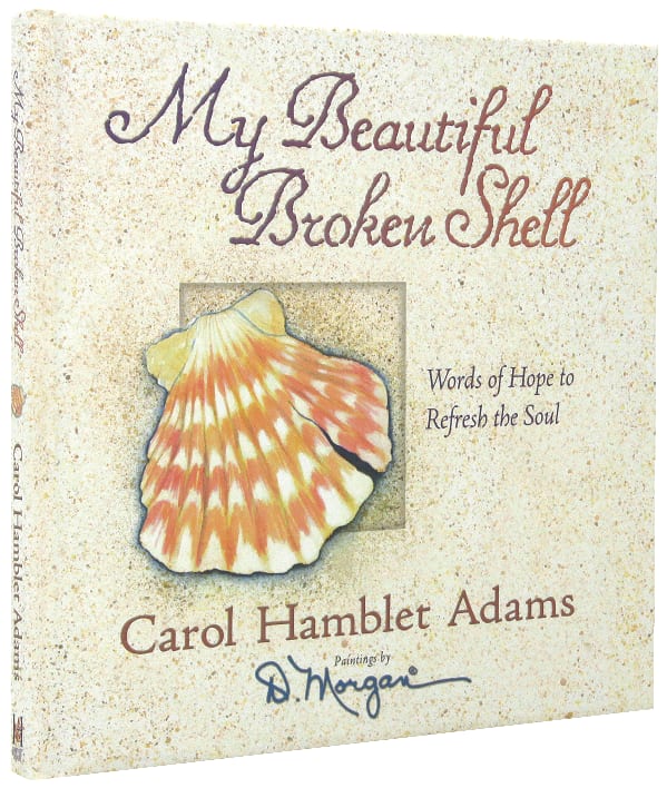 My Beautiful Broken Shell | Koorong