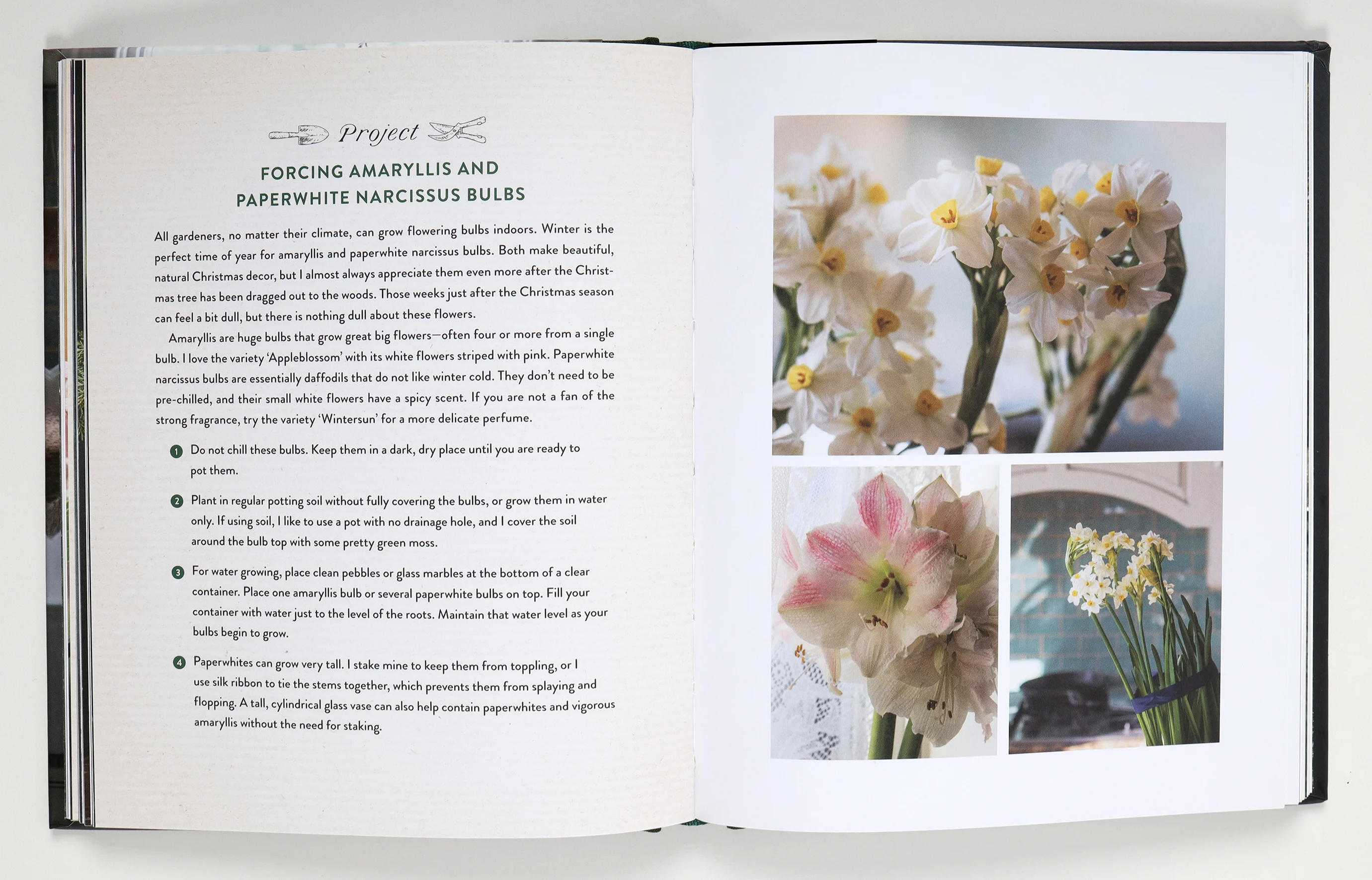 A Home in Bloom: Four Enchanted Seasons With Flowers | Koorong