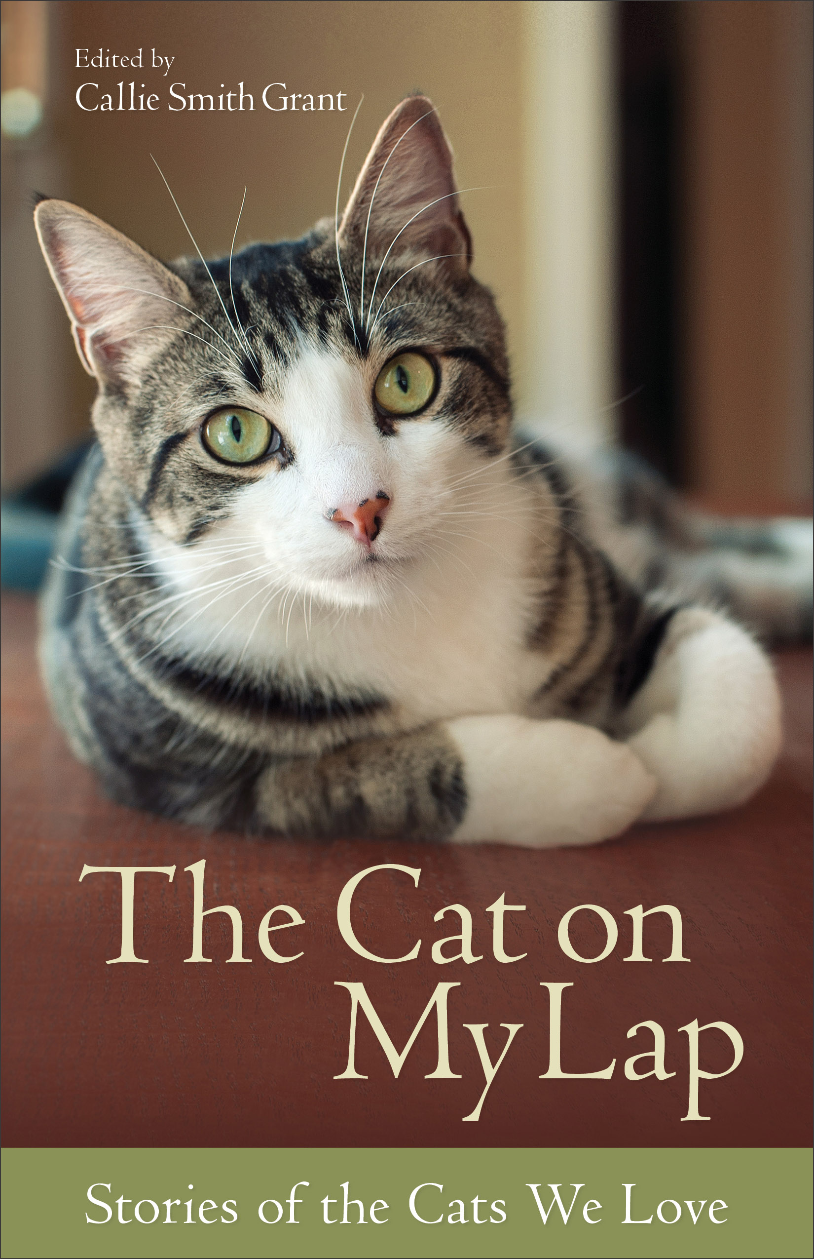 The Cat on My Lap: Stories of the Cats We Love | Koorong