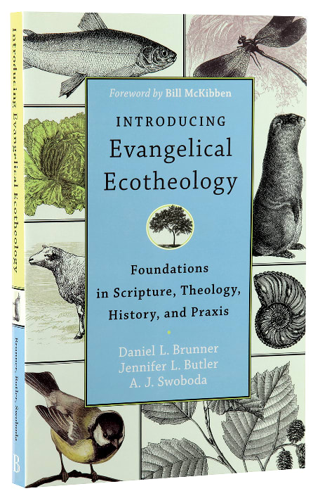 Introducing Evangelical Ecotheology | Koorong