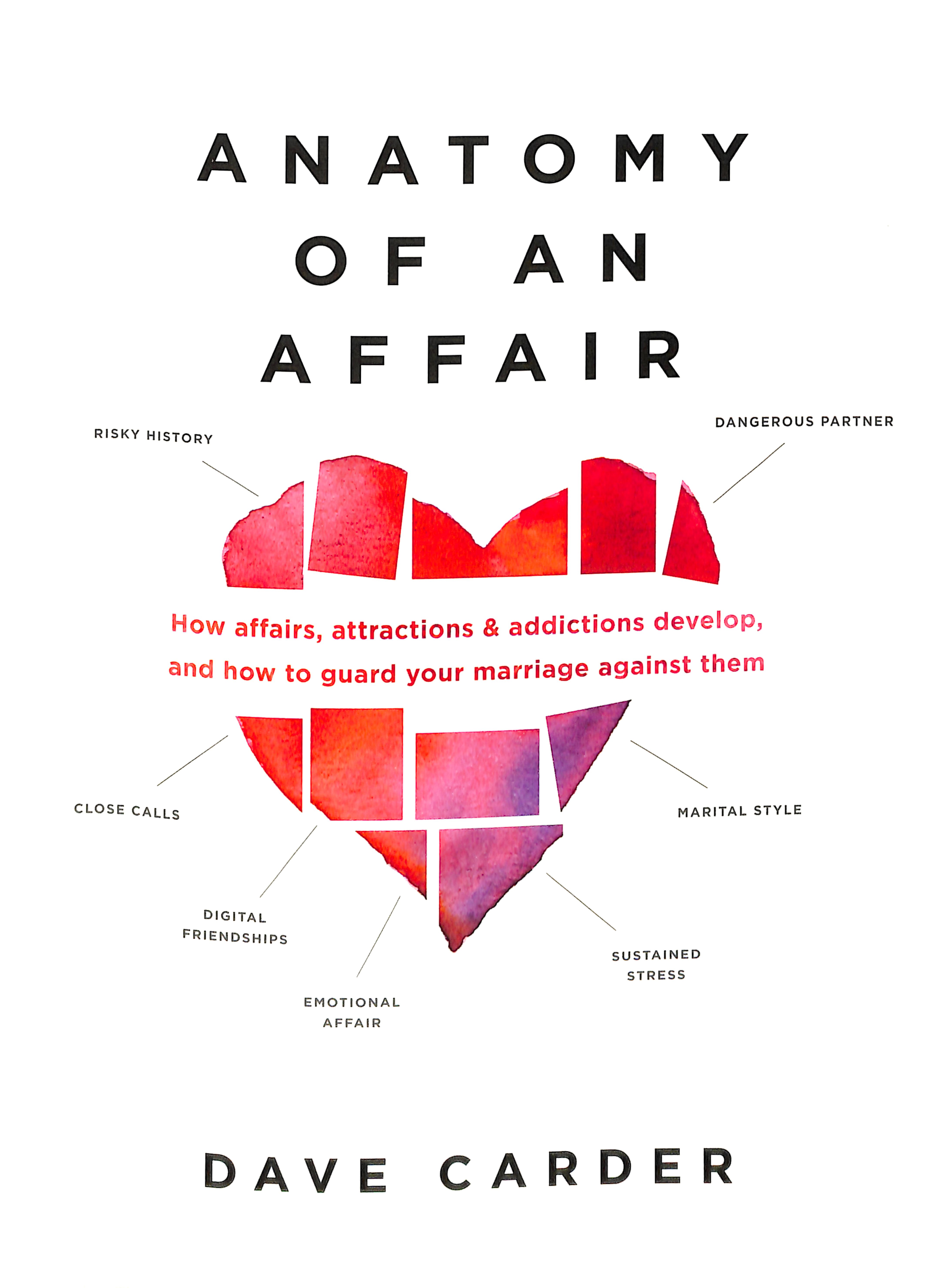 Anatomy of An Affair: How Affairs, Attractions, and Addictions Develop ...