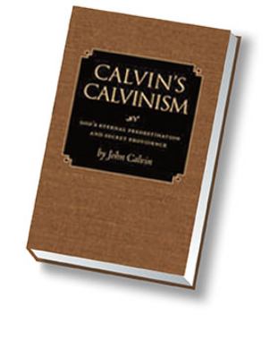 Calvin's Calvinism: God's Eternal Predestination and Secret Providence ...