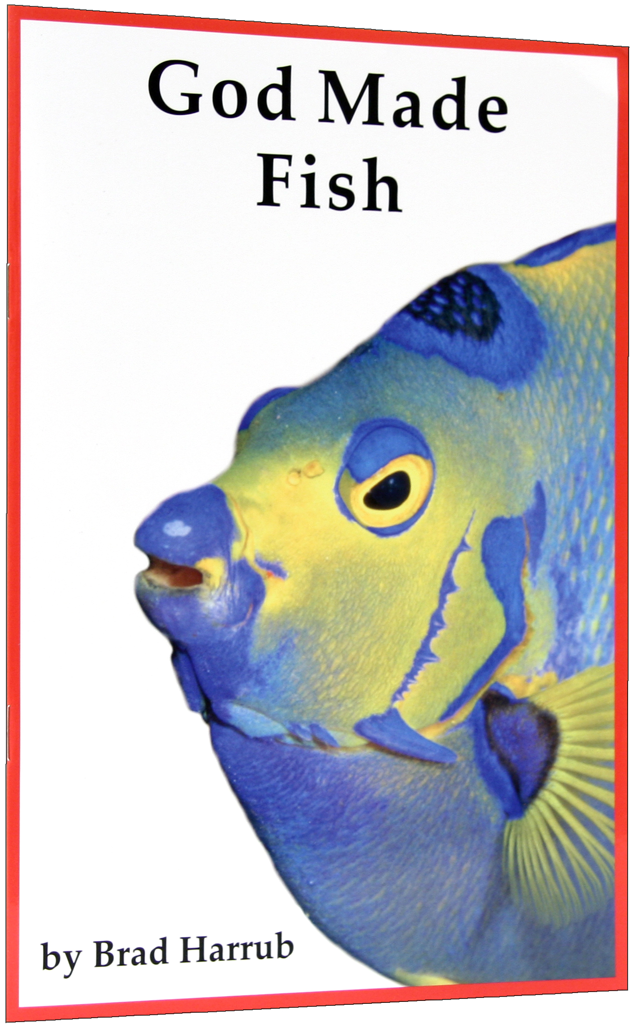 God Made Fish (A P Reader Series) | Koorong