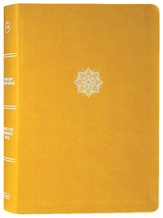 CSB Everyday Study Bible Yellow | Koorong