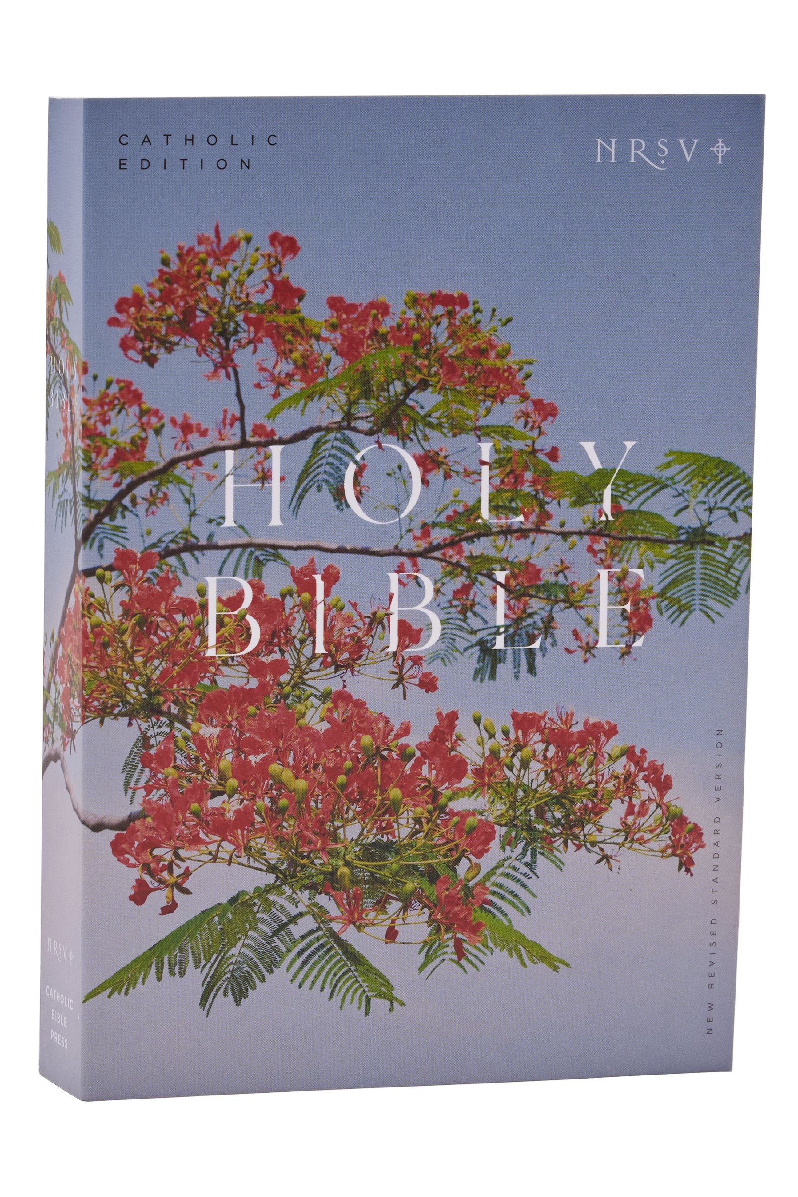 NRSV Catholic Edition Bible Royal Poinciana Anglicised Text Global ...