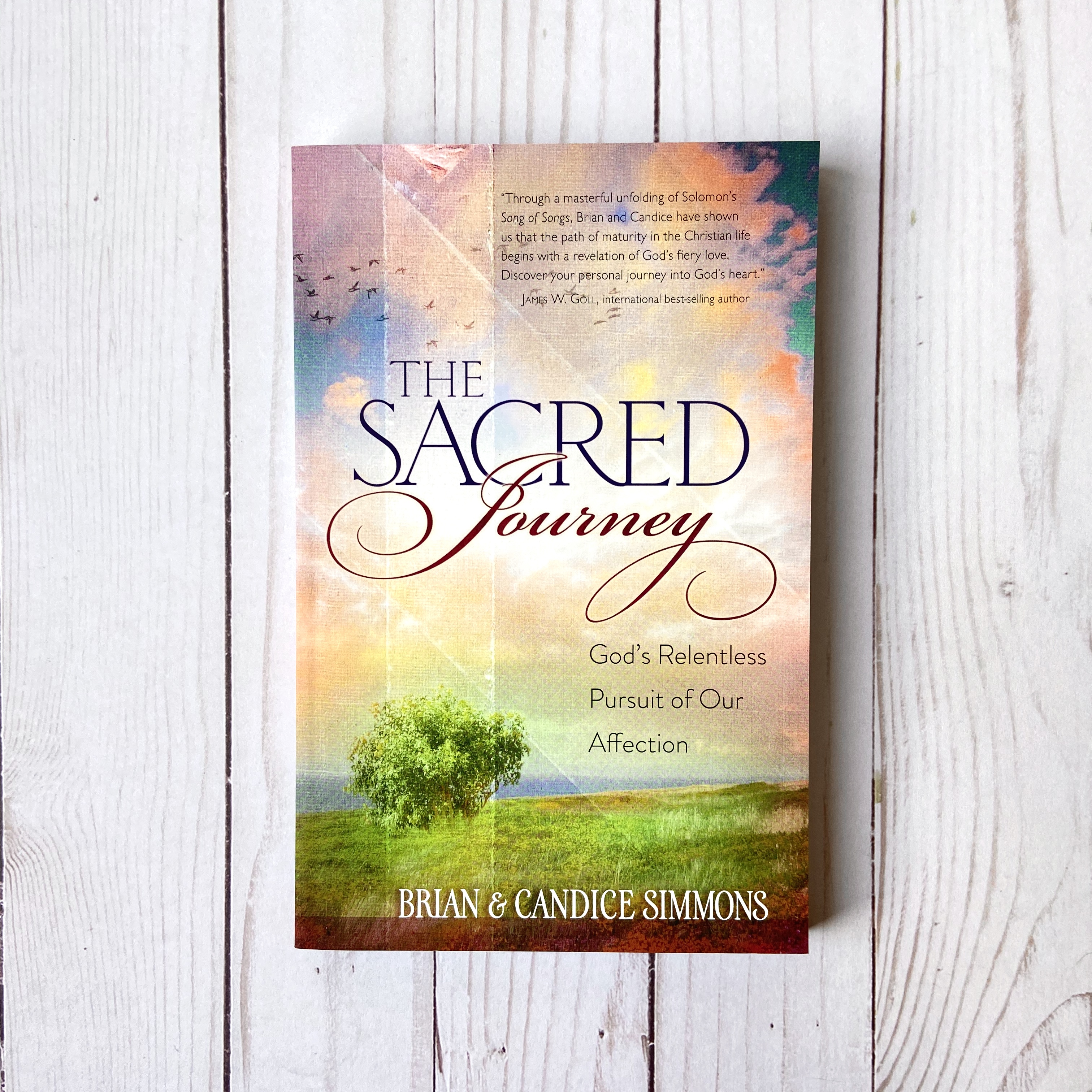 Sacred Journey - God's Relentless Pursuit of Our Affection | Koorong