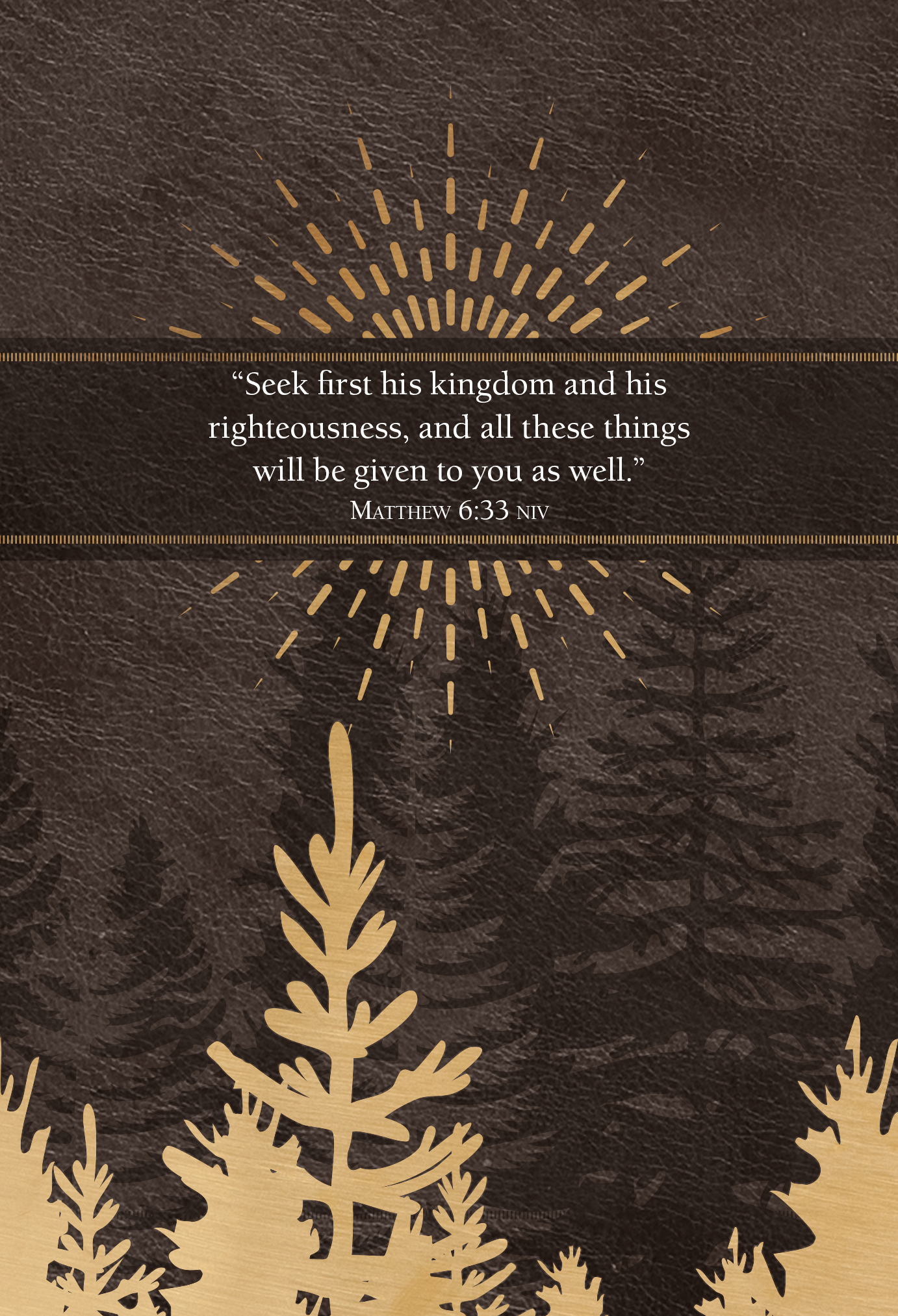 Jesus First For Men: 365 Devotions to Start Your Day | Koorong