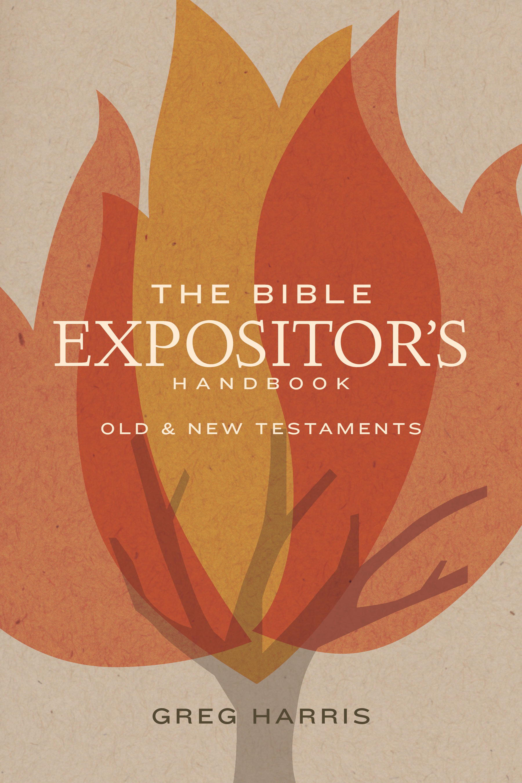The Bible Expositor's Handbook | Koorong