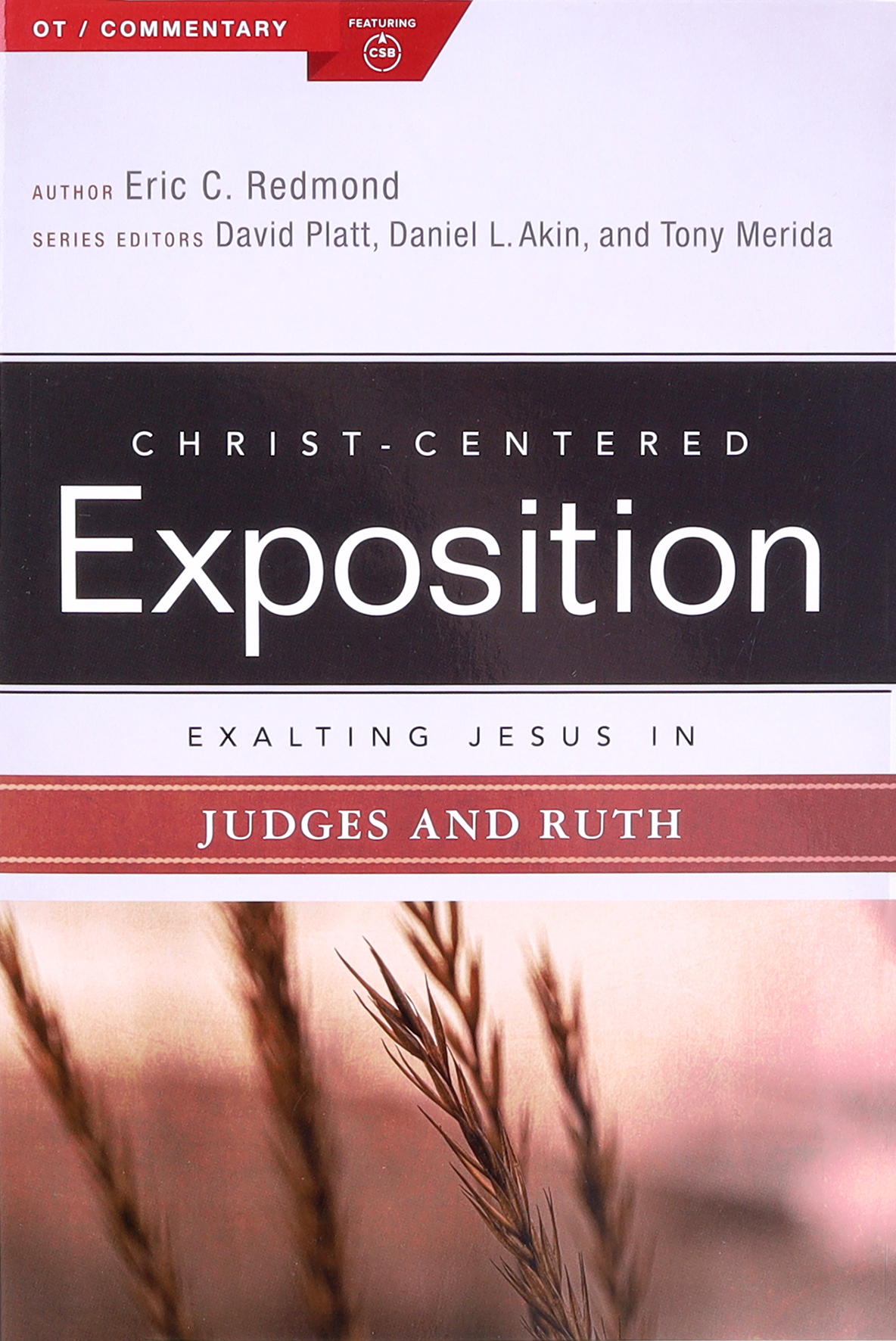 Exalting Jesus in Judges & Ruth (Christ Centered Exposition Commentary ...