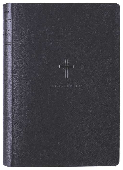 NLT Large Print Premium Value Thinline Bible, Filament-Enabled Edition ...