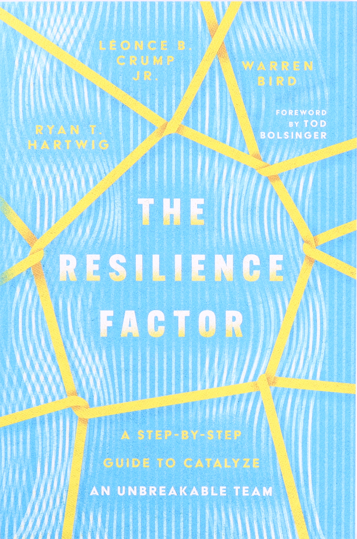 The Resilience Factor: A Step-By-Step Guide to Catalyze An Unbreakable ...