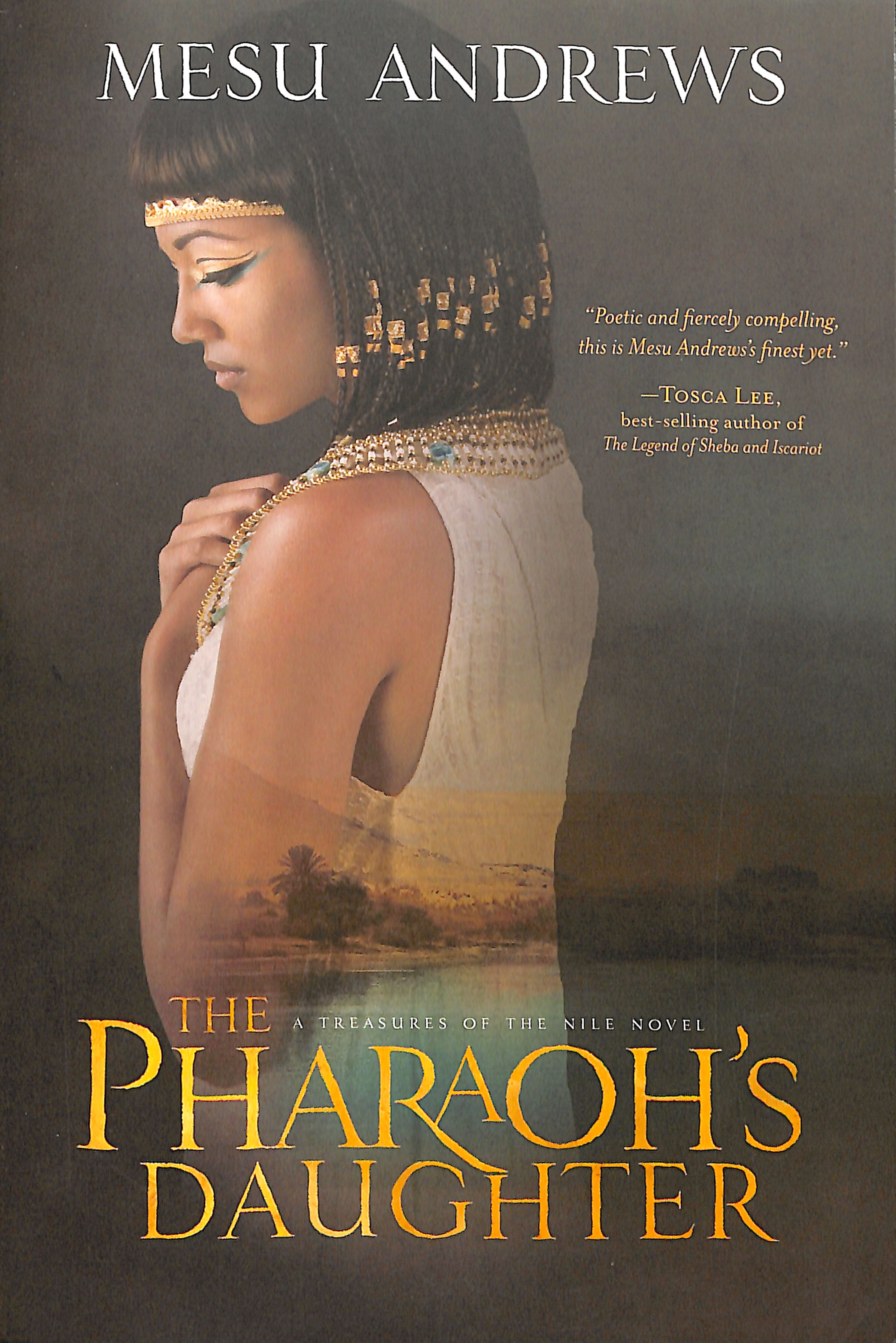 The Pharaoh's Daughter (Treasures Of The Nile Series) | Koorong