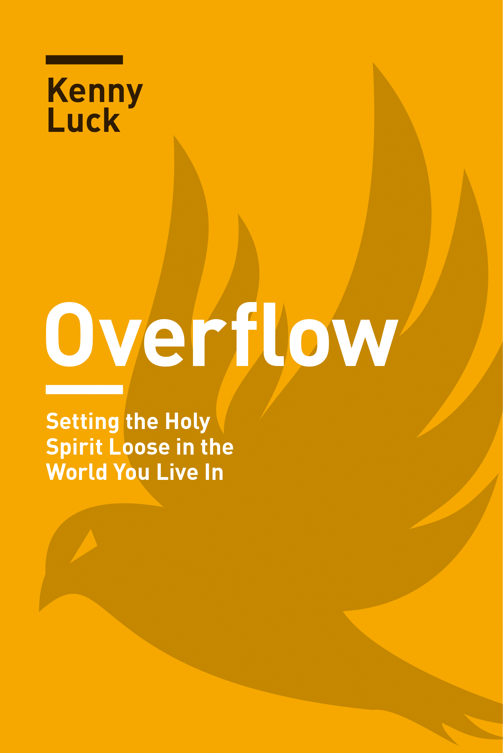 Overflow: Setting the Holy Spirit Loose in the World You Live in | Koorong