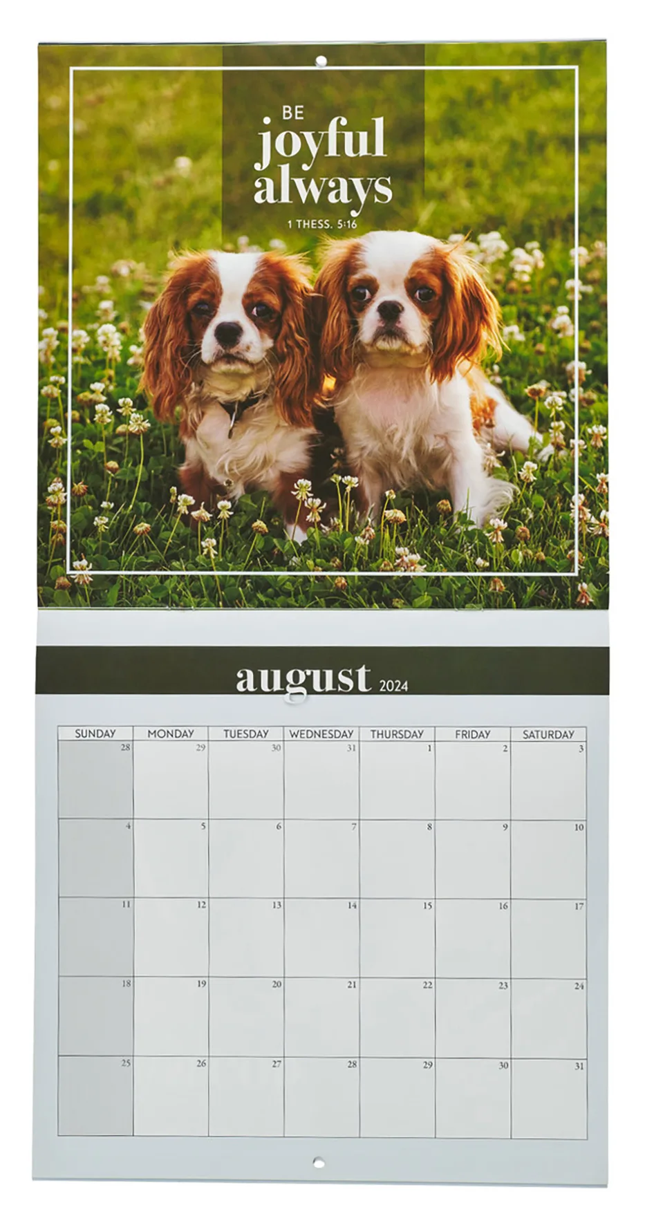 2024 Wall Calendar: Rejoice & Be Glad, Psalm 118:24, Dogs | Koorong