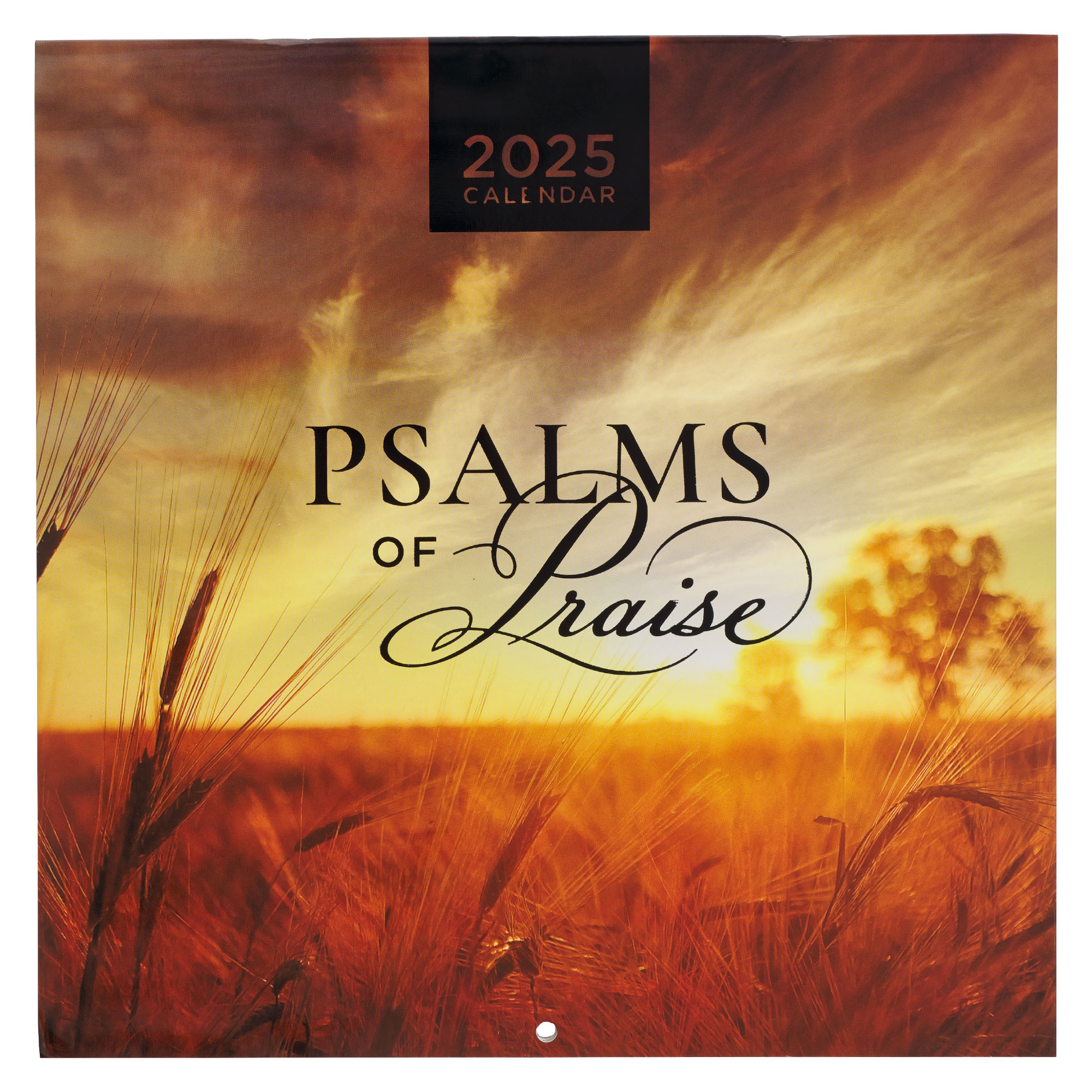 2025 Calendar: Psalms of Praise | Koorong