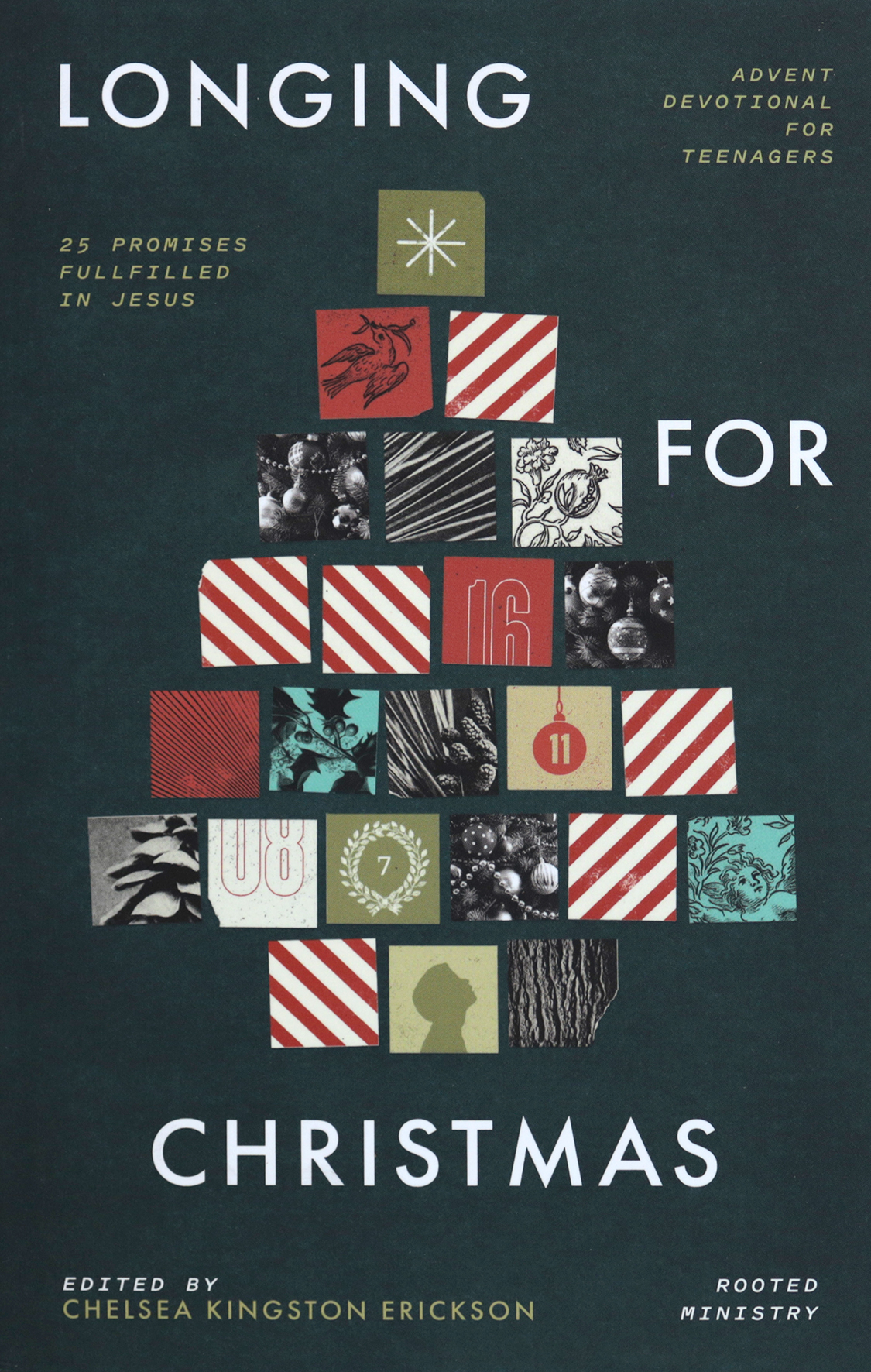 Longing for Christmas: 25 Promises Fulfilled in Jesus, Advent ...