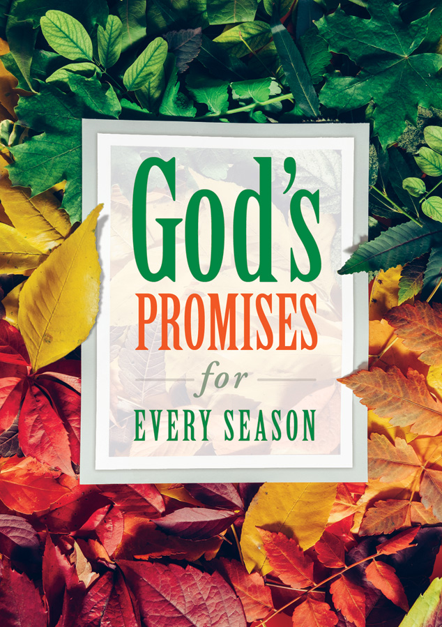 God's Promises for Every Season (NLT, NIV, KJV) | Koorong