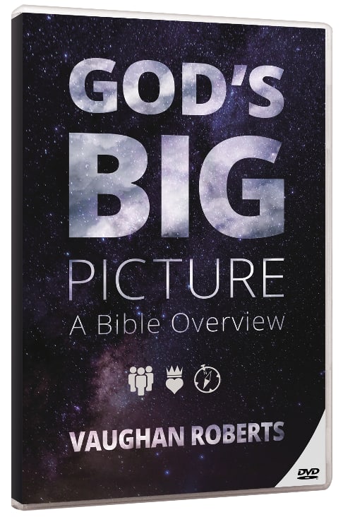 God's Big Picture (With Downloadable Small Group Resources) | Koorong