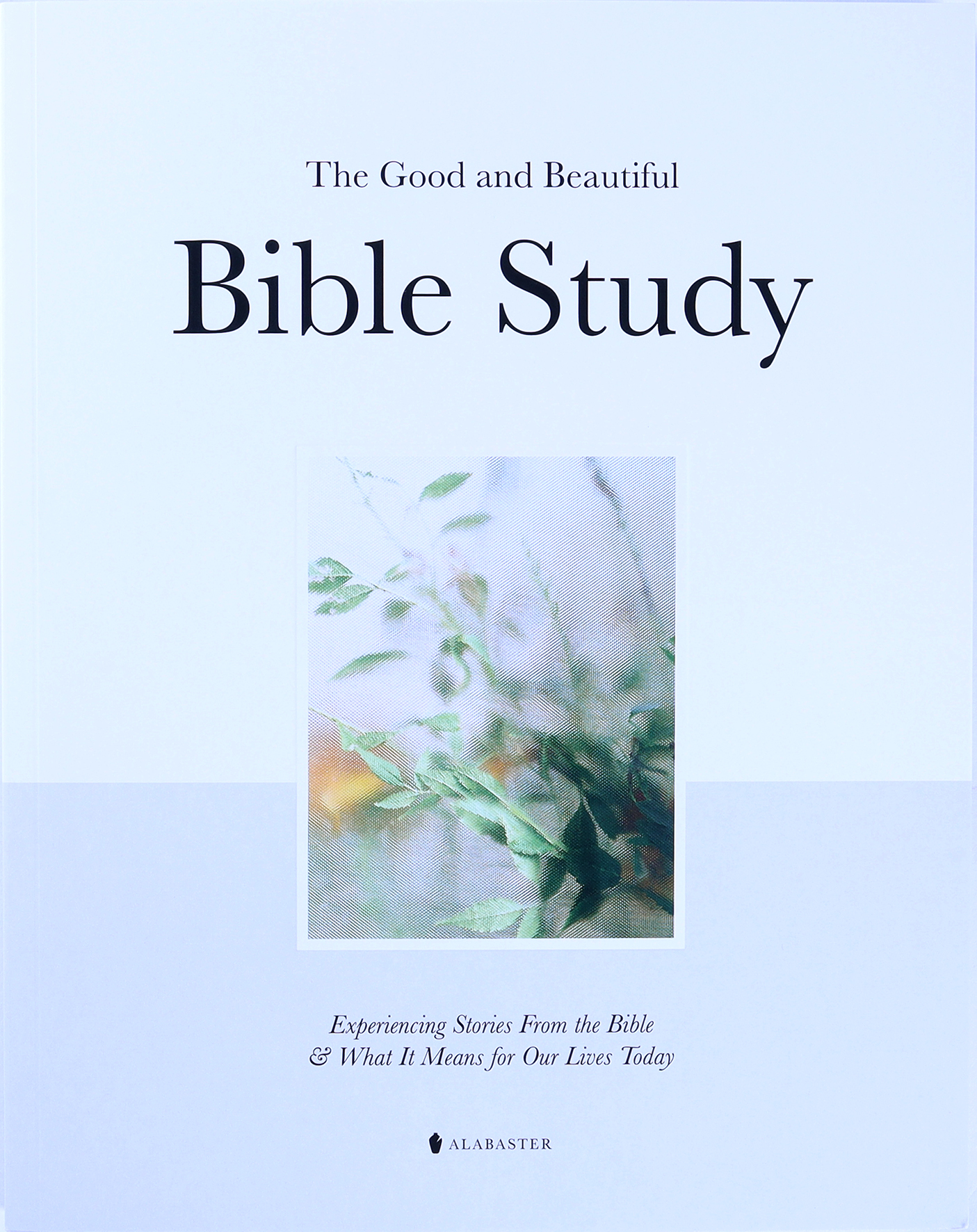 The Good and Beautiful Bible Study (Vol. 1) | Koorong