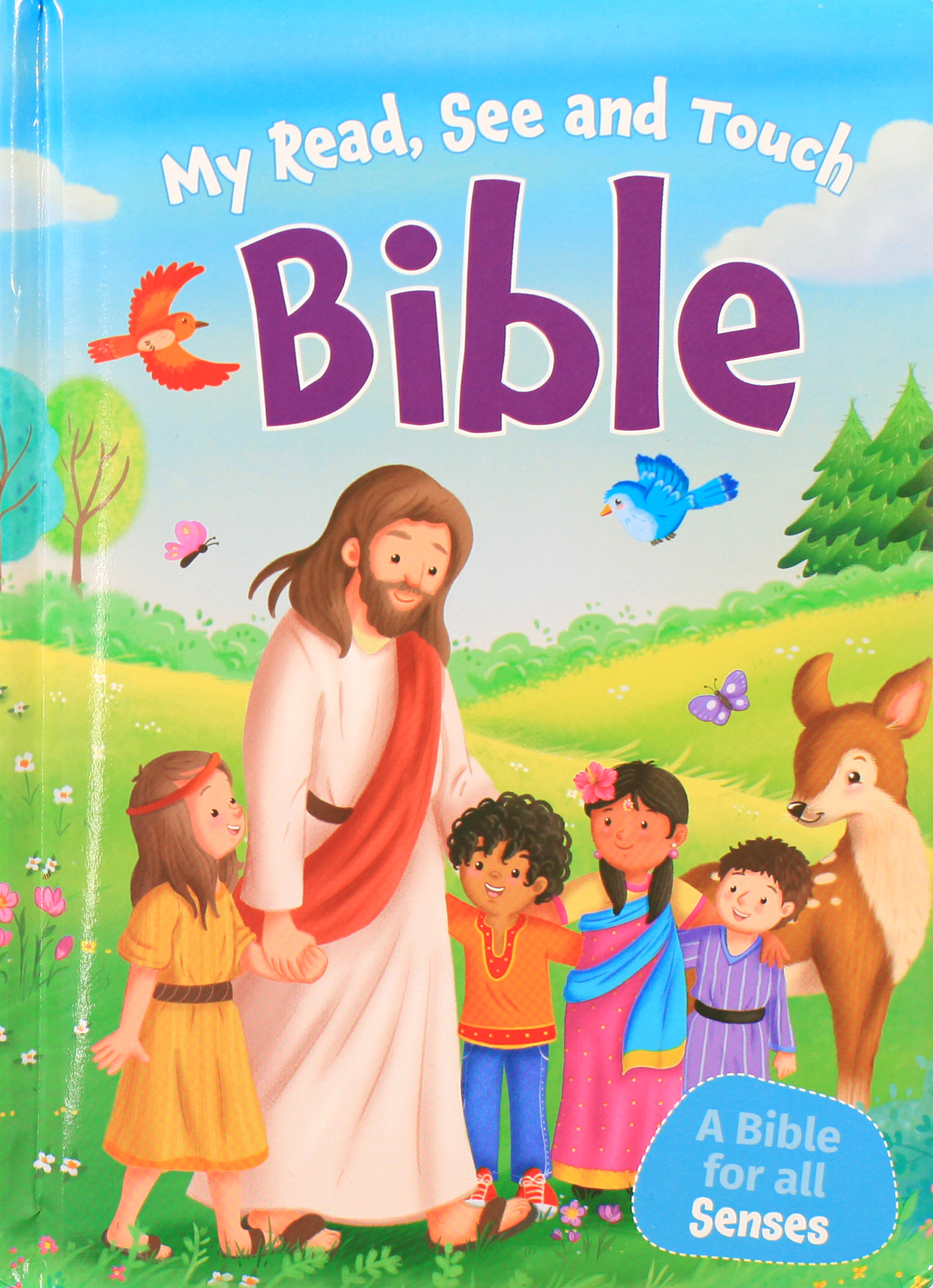 My Read, See and Touch Bible | Koorong