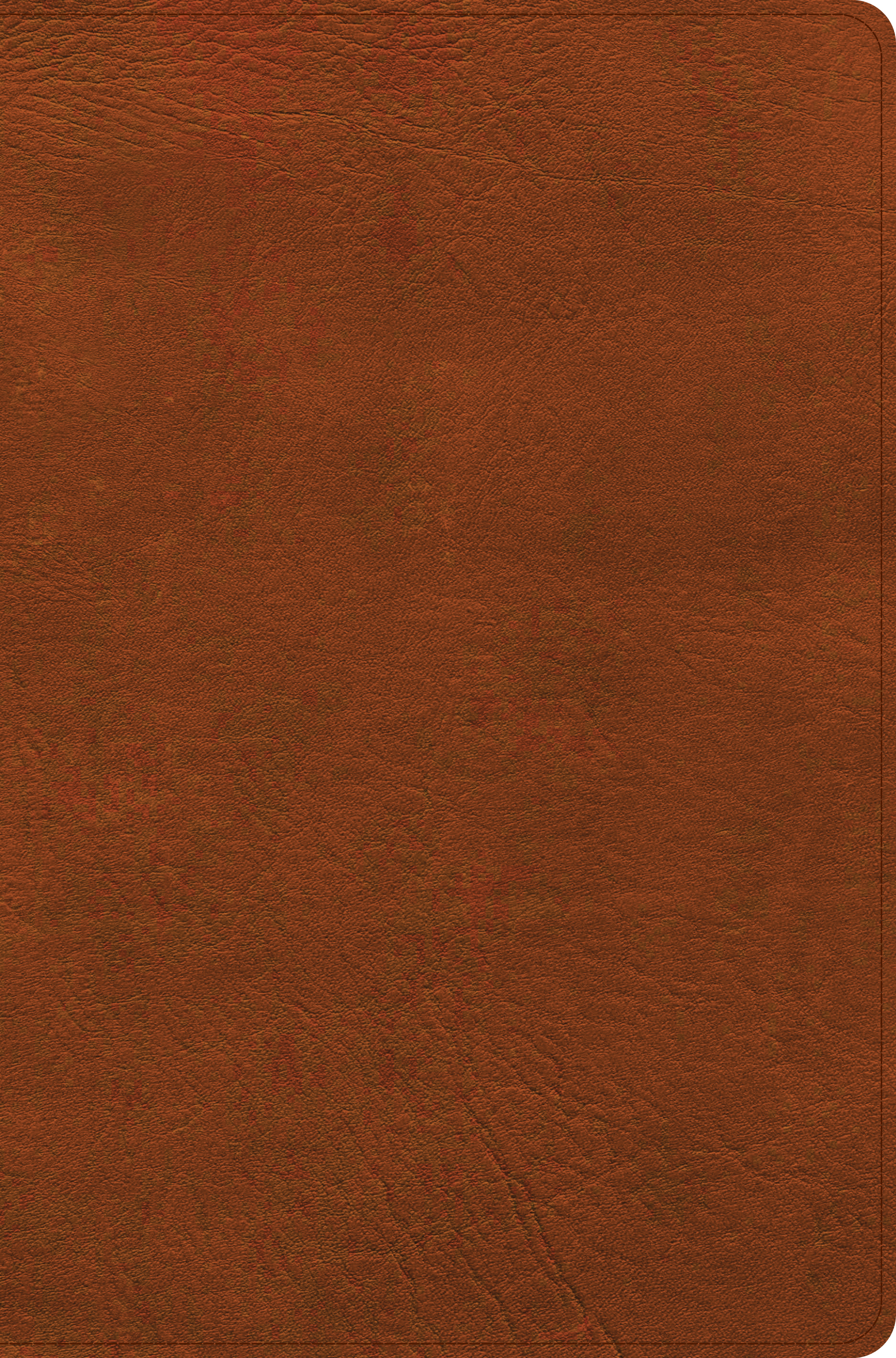 CSB Giant Print Reference Bible, Digital Study Edition, Burnt Sienna ...
