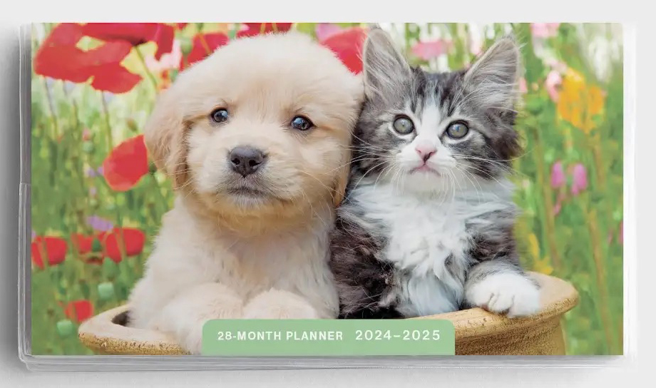 2024 28-Month Diary/Planner: Whiskers & Paws (dated 9-2023 to 12-2025) | Koorong