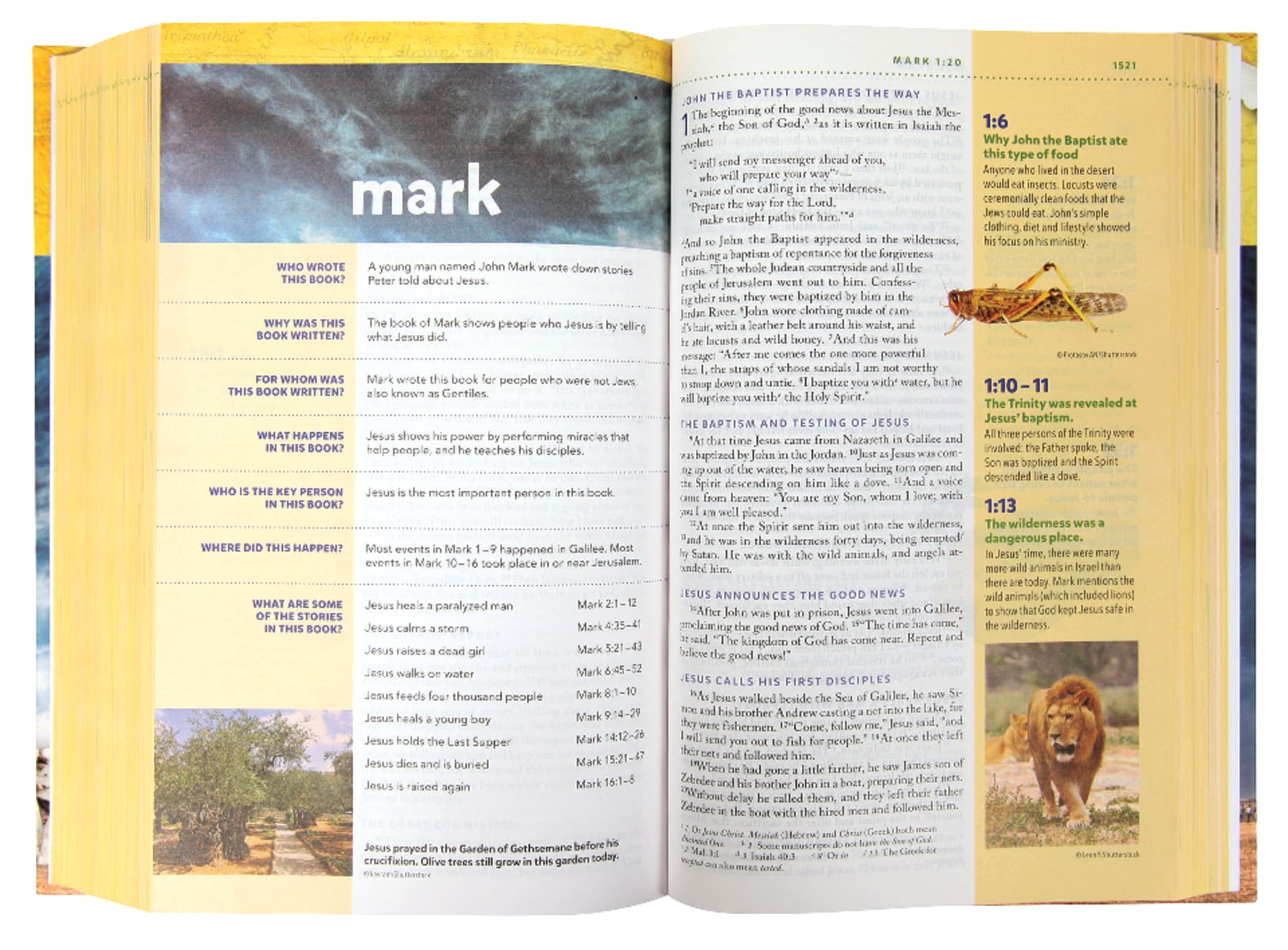NIV Kids' Visual Study Bible Full Color Interior by Zondervan ...