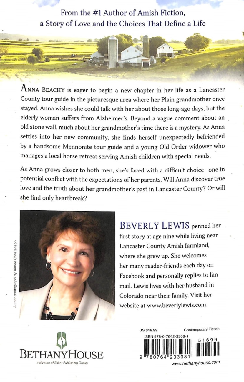 The Stone Wall by Beverly Lewis | Koorong