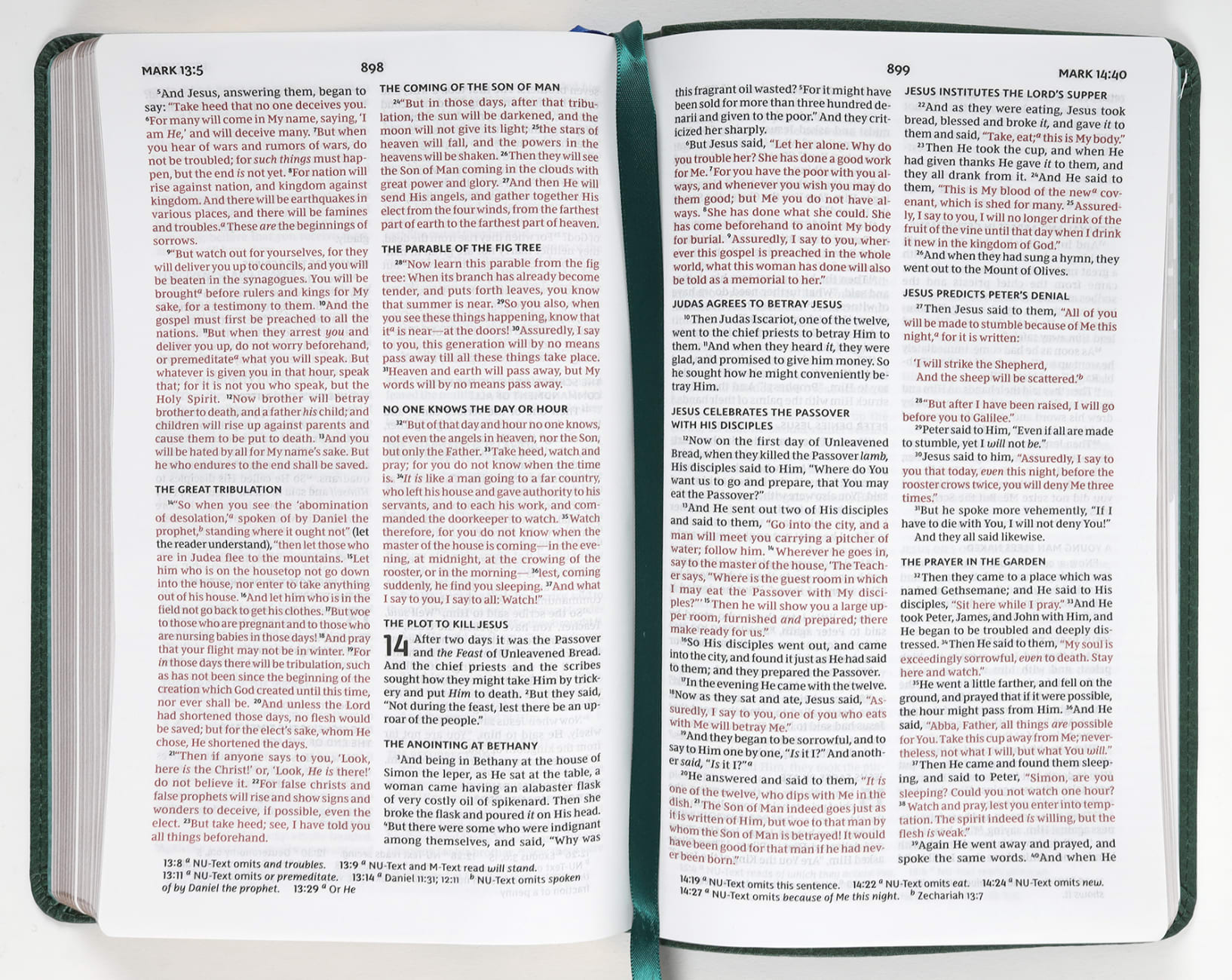 NKJV Thinline Youth Edition Bible Verse Art Cover Collection Green (Red ...