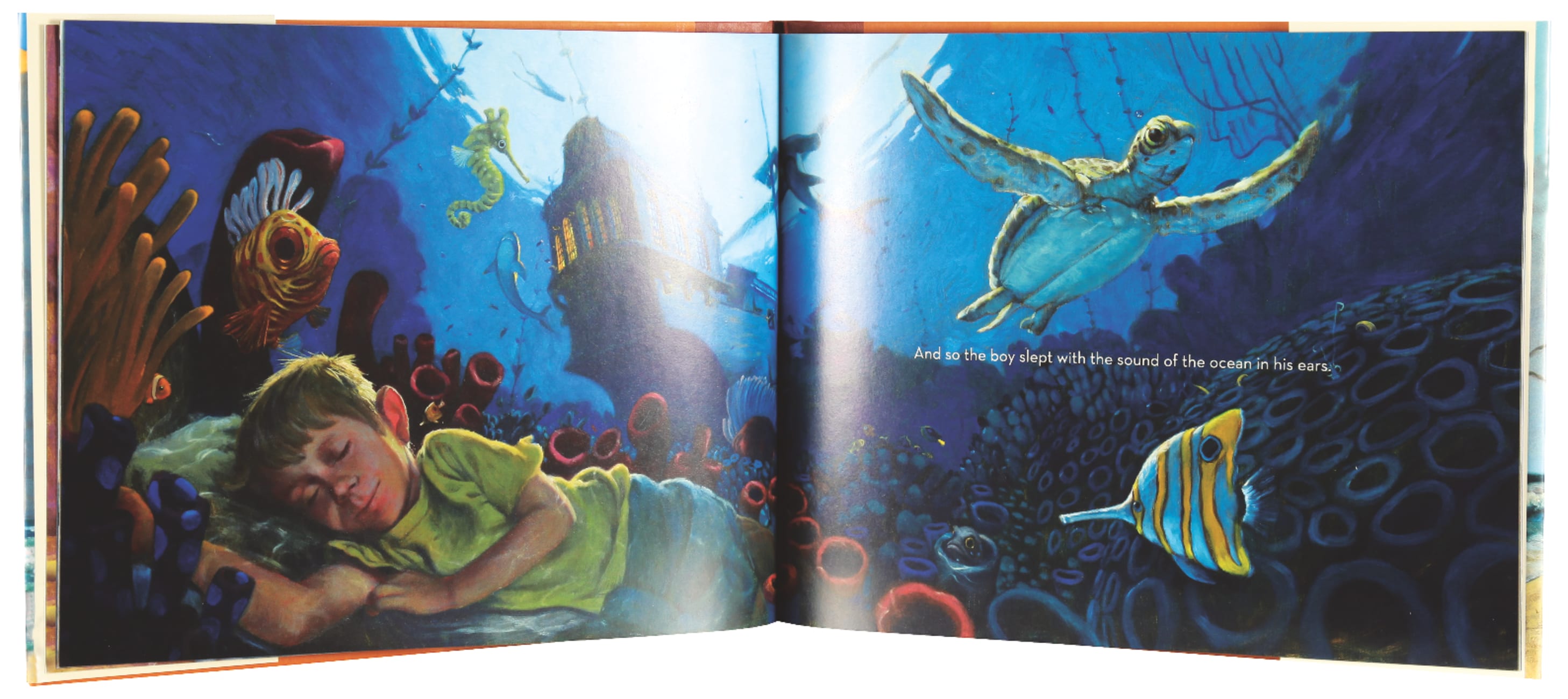 The Boy and the Ocean by Max Lucado | Koorong