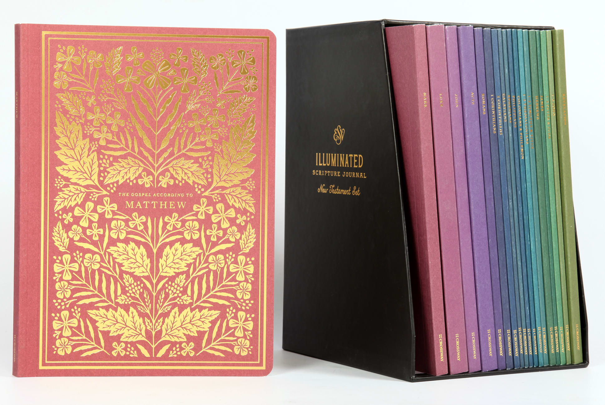 ESV Illuminated Scripture Journal New Testament Set (Black Letter ...
