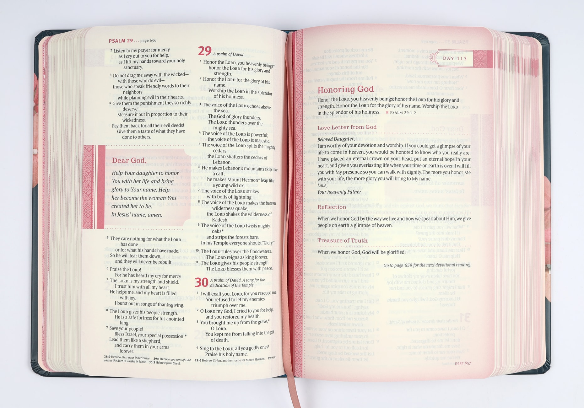 NLT Thrive Devotional Bible For Women by Sheri Rose Shepherd | Koorong