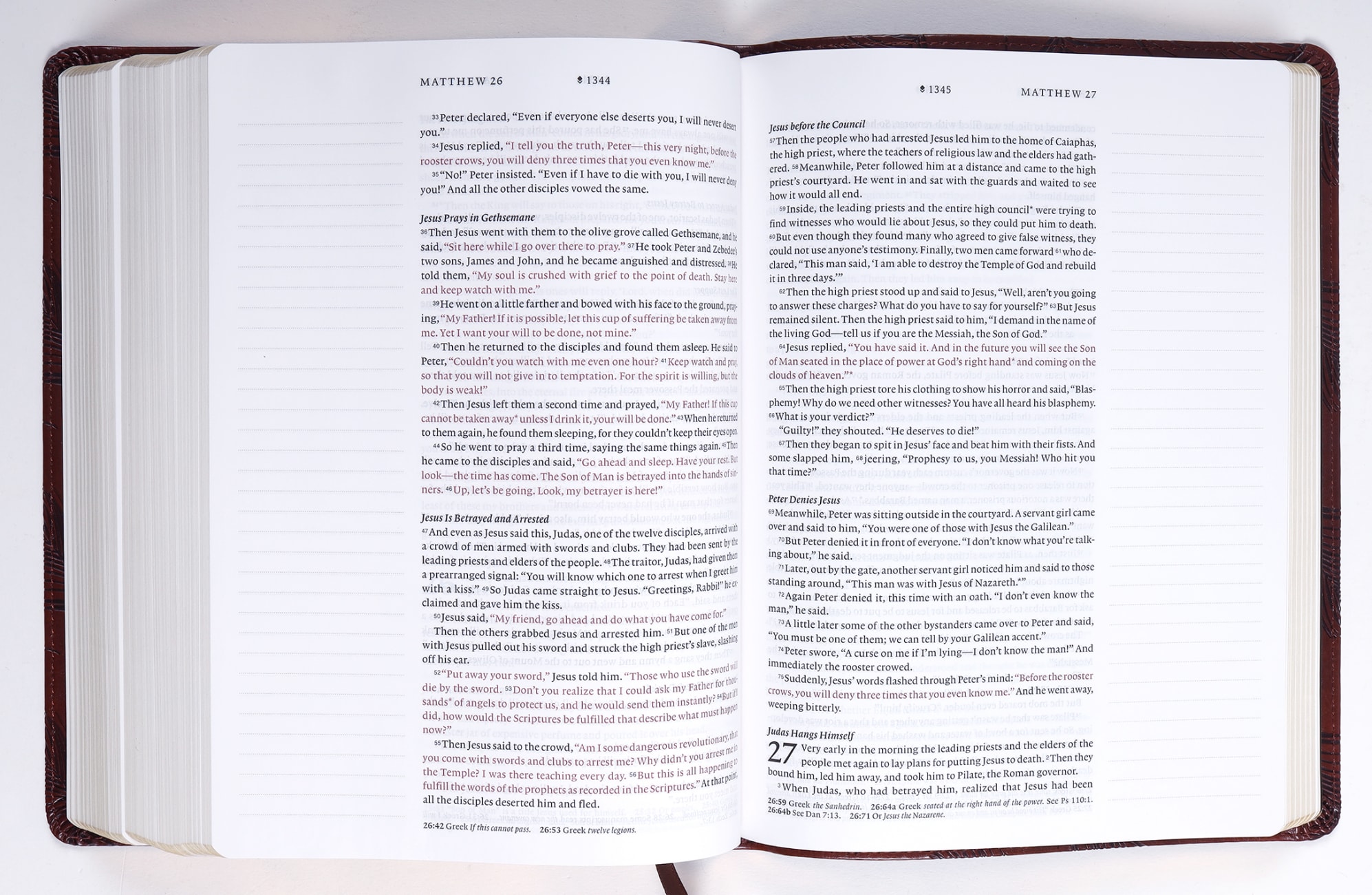 NLT Wide Margin Bible Filament Enabled Edition Dark Brown Palm (Red ...