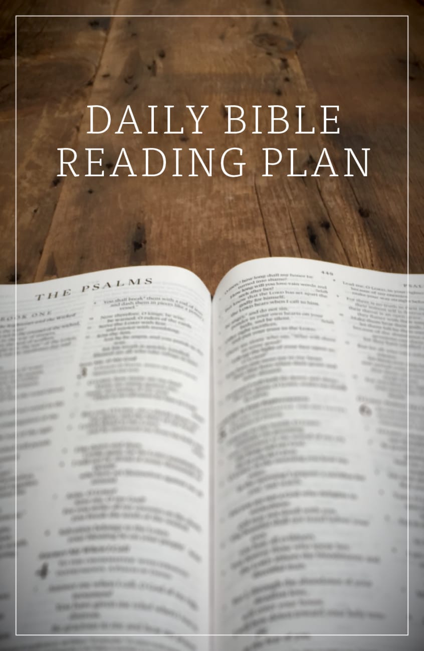 Daily Bible Reading Plan (ESV) (Pack Of 25) | Koorong