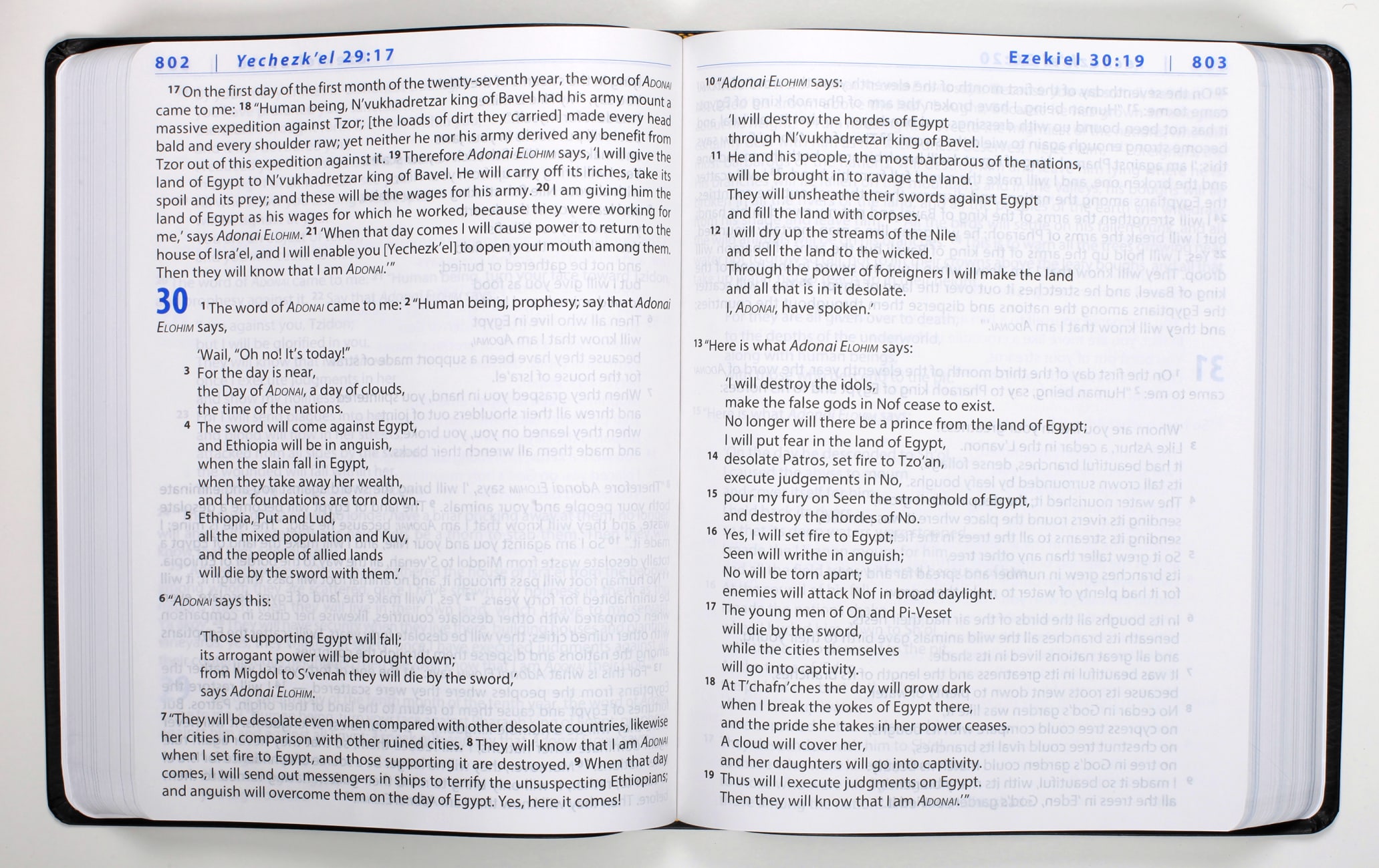 Complete Jewish Bible Giant Print English Version by David H Stern ...