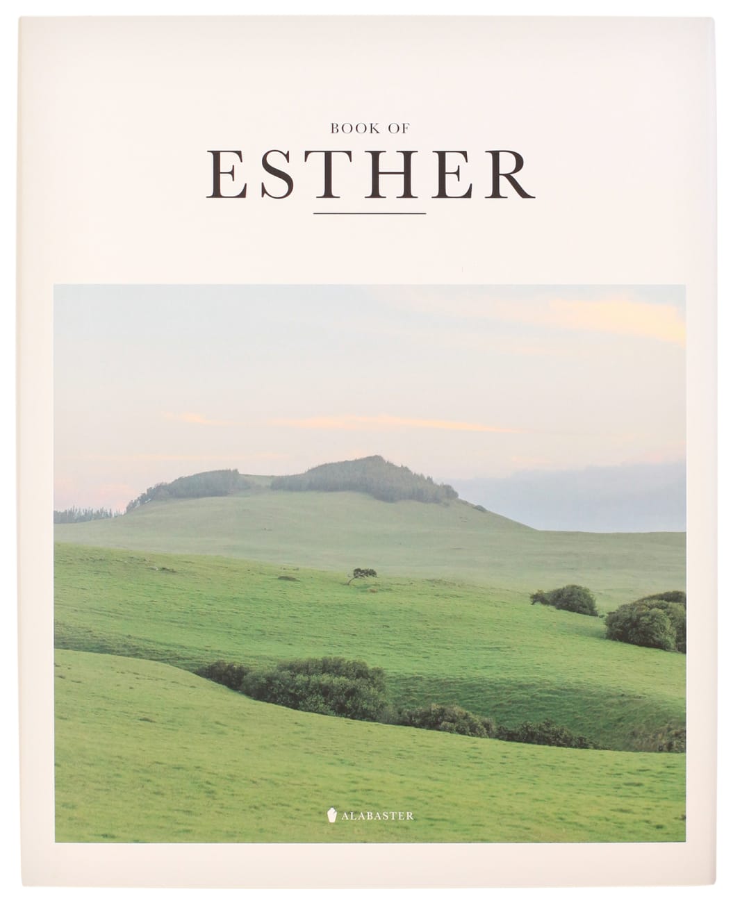 NLT Alabaster Book of Esther by Alabaster Co | Koorong